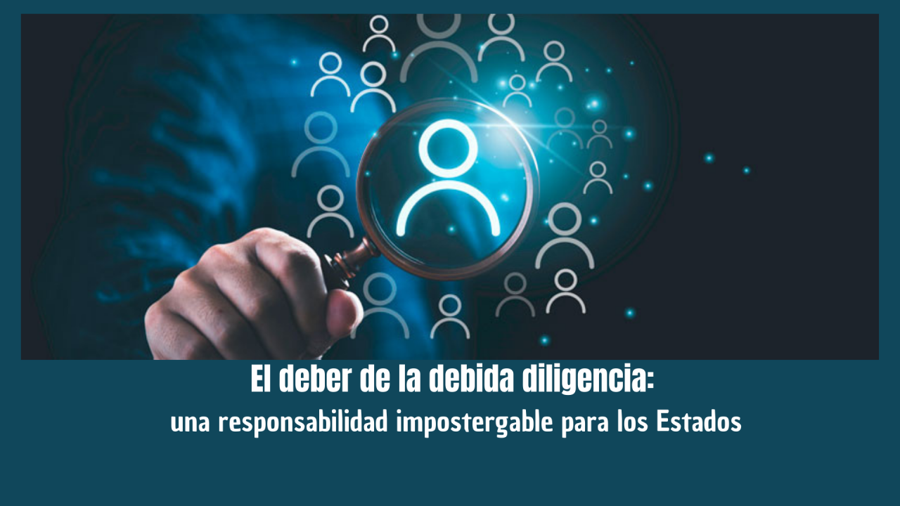El deber de la debida diligencia: una responsabilidad impostergable para los Estados - Mariana ...